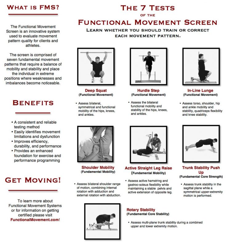 Functional Movement Systems – FMS – Tenacity Dynamics